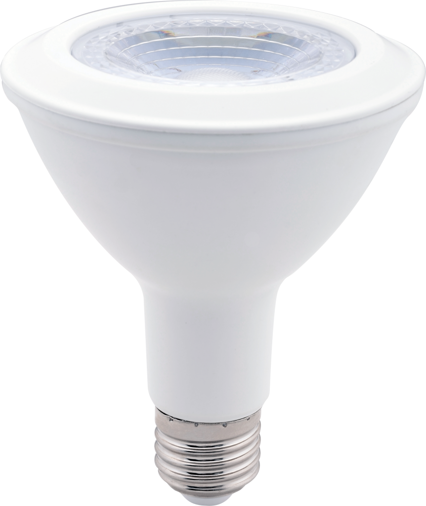 PAR30 LED Lamp – Day By Day Trading Ltd